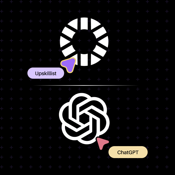 How to use Chat GPT?