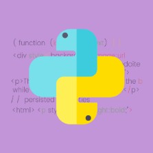 Python Programming